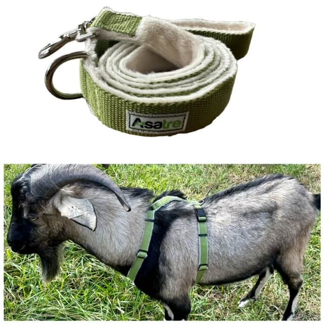 Hemp Goat or Sheep Harness – Asatre